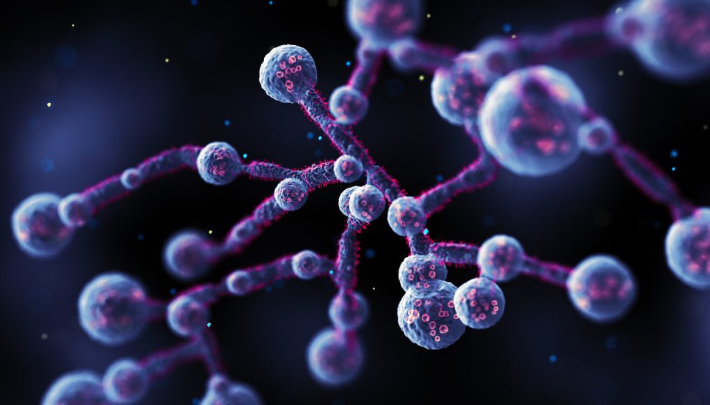 Allergies, Candida, and Modern Medicine: A Conversation with Dr. Dean ...